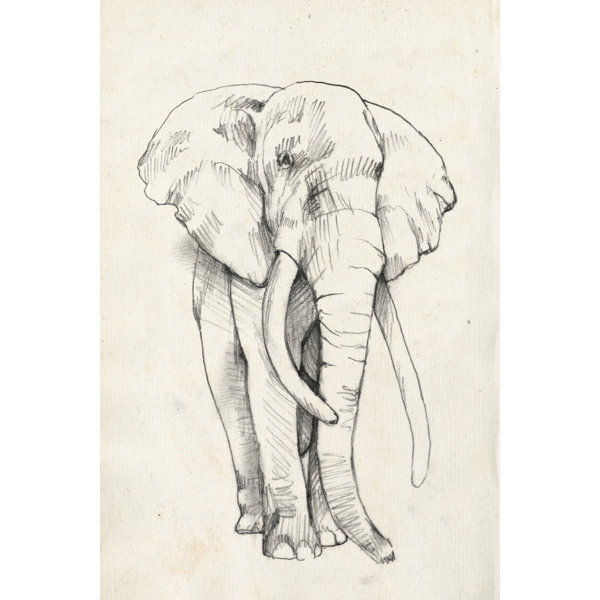 BohoLiving Leinwandbild Elephant Portrait II | Wayfair.de